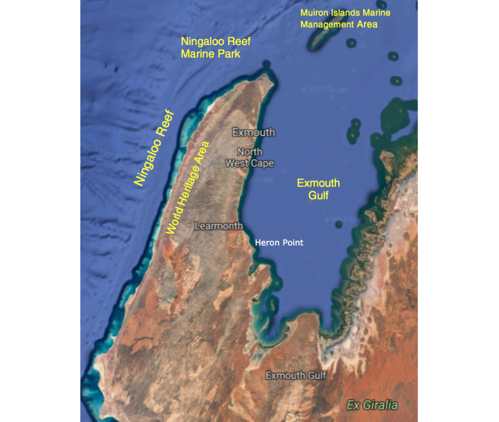 Ningaloo | Protect Ningaloo