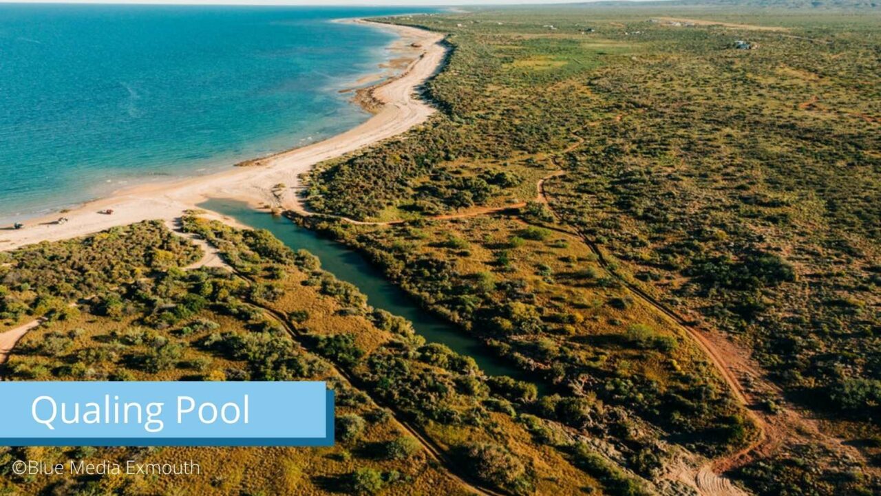 Deepwater port threatens Exmouth Gulf | Protect Ningaloo